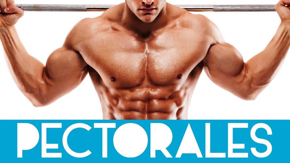 ¿Quieres mejorar tus pectorales? Utiliza estos 4 consejos - AS.com